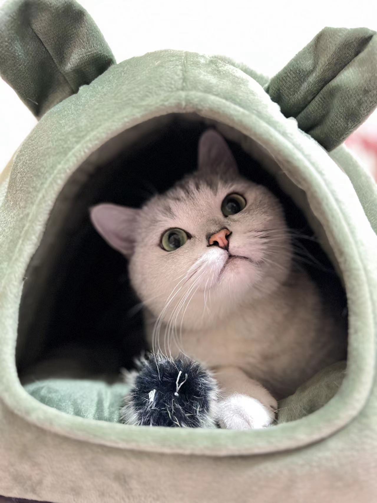 Xiwen Wei | About Me